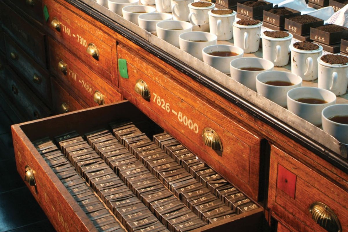 Export and Popularity